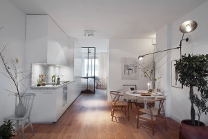 Stylish 420 Square Foot Small Apartment With Modern Scandinavian Design ...