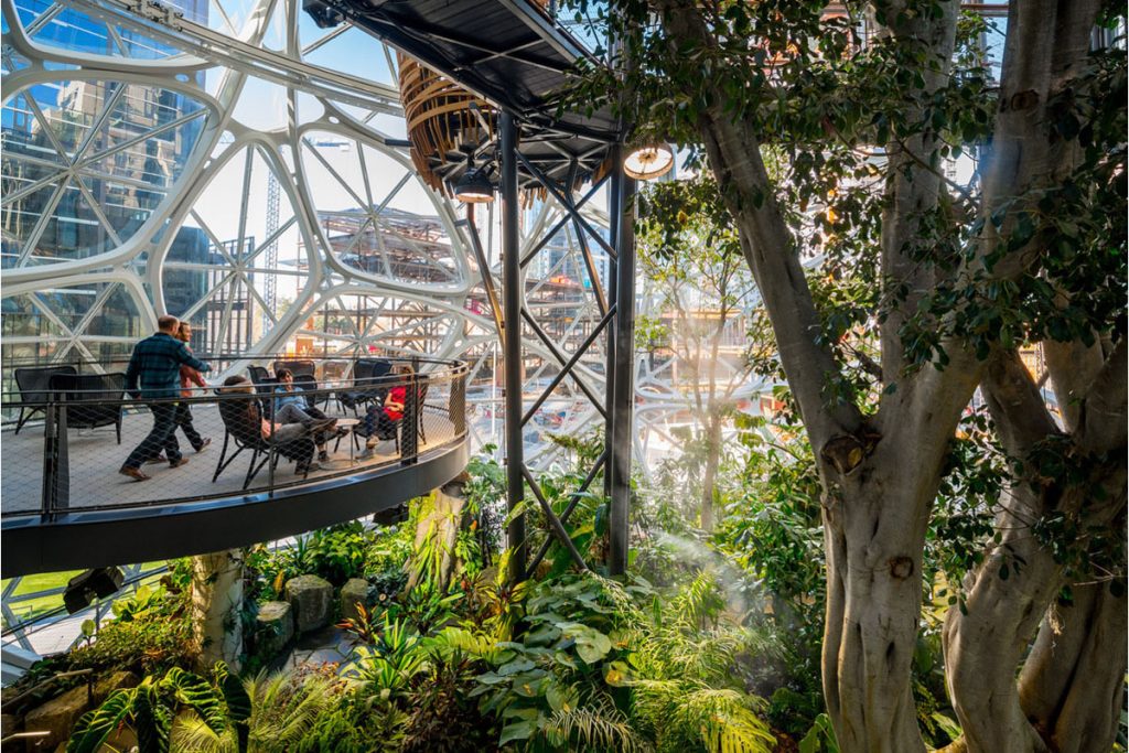Jeff Bezos’ Amazon Spheres is Part Rain Forest and Part Office Complex