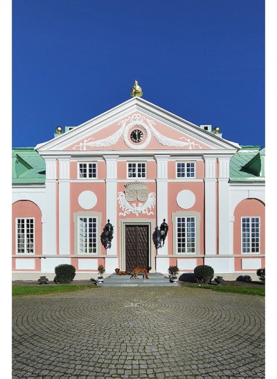 Stunning Baroque Castle Mansion In Sweden