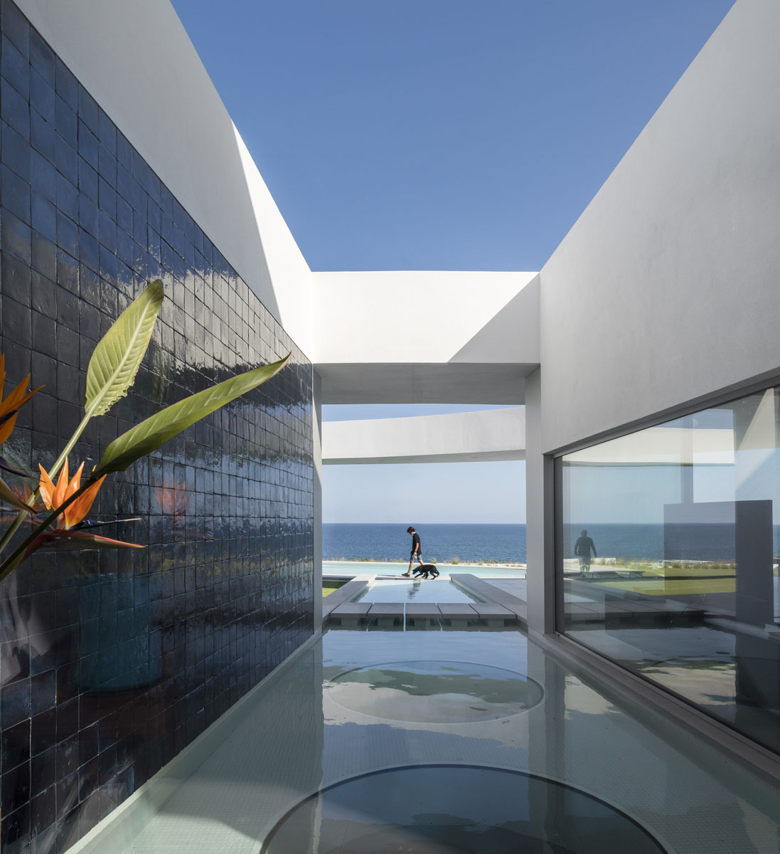 Contemporary Elliptical House with Organic Architectural Design ...