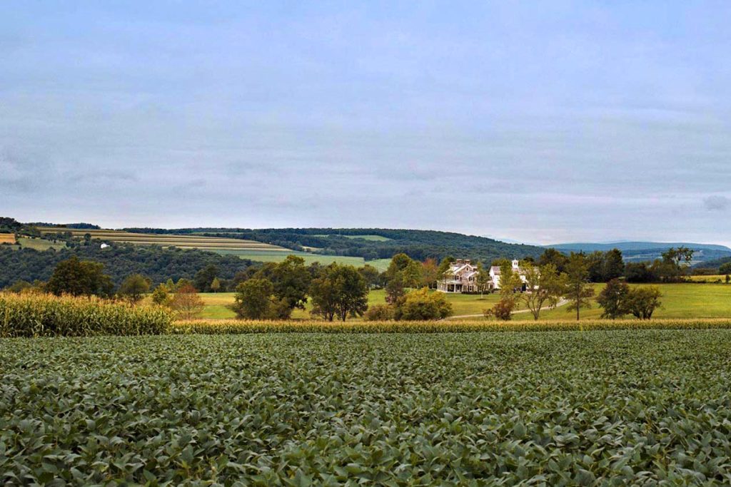 Colonial Revival Stone Farmhouse in Picturesque Countryside