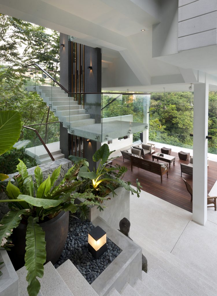 Dramatic Modern House In a Lush Urban Forest Reserve