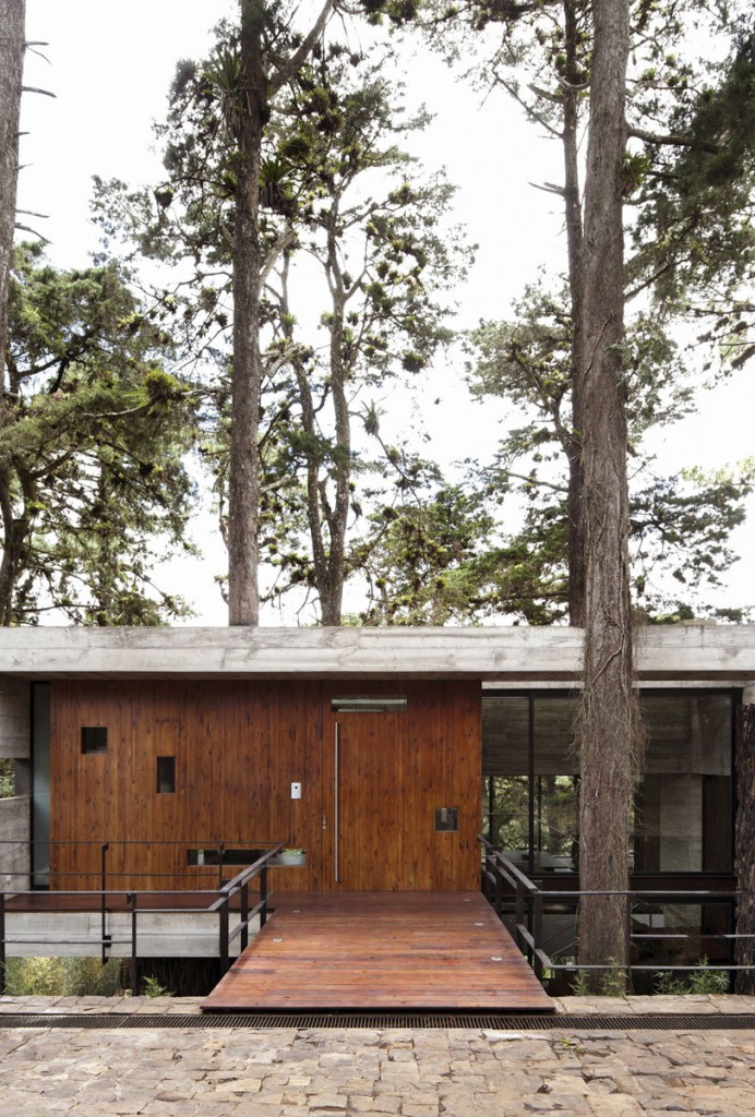 House In The Forest With Trees Interacting With Living Space ...