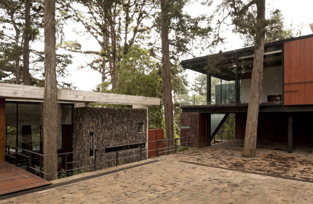 House In The Forest With Trees Interacting With Living Space ...