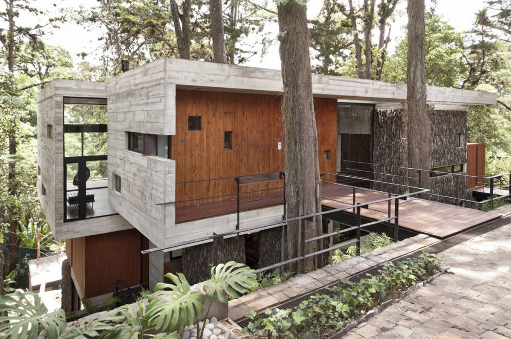 House In The Forest With Trees Interacting With Living Space ...