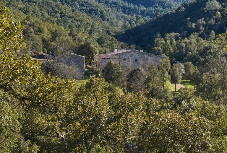 Old Farmhouse Transformed into a Charming Rustic Country Home