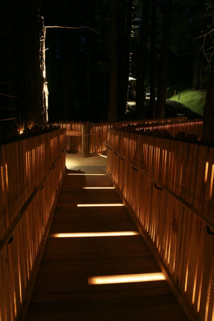 Redwoods Yellow Treehouse | iDesignArch | Interior Design, Architecture ...